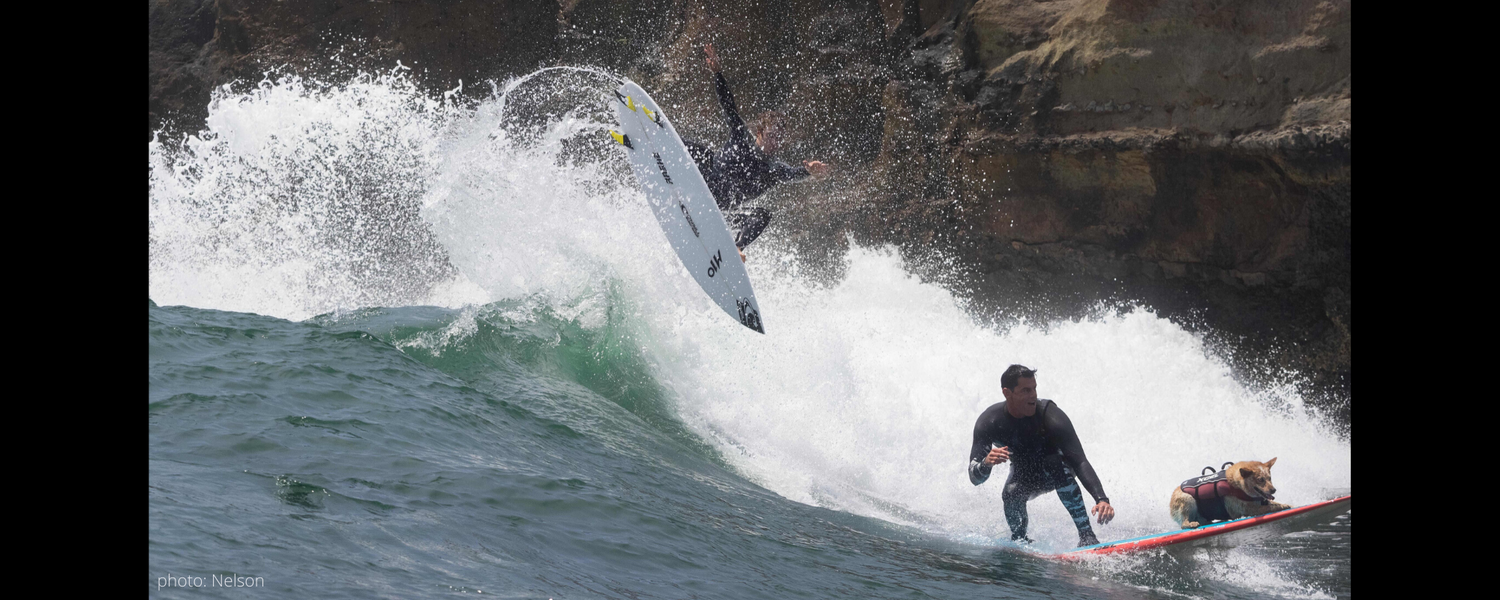 M10 Surfboards